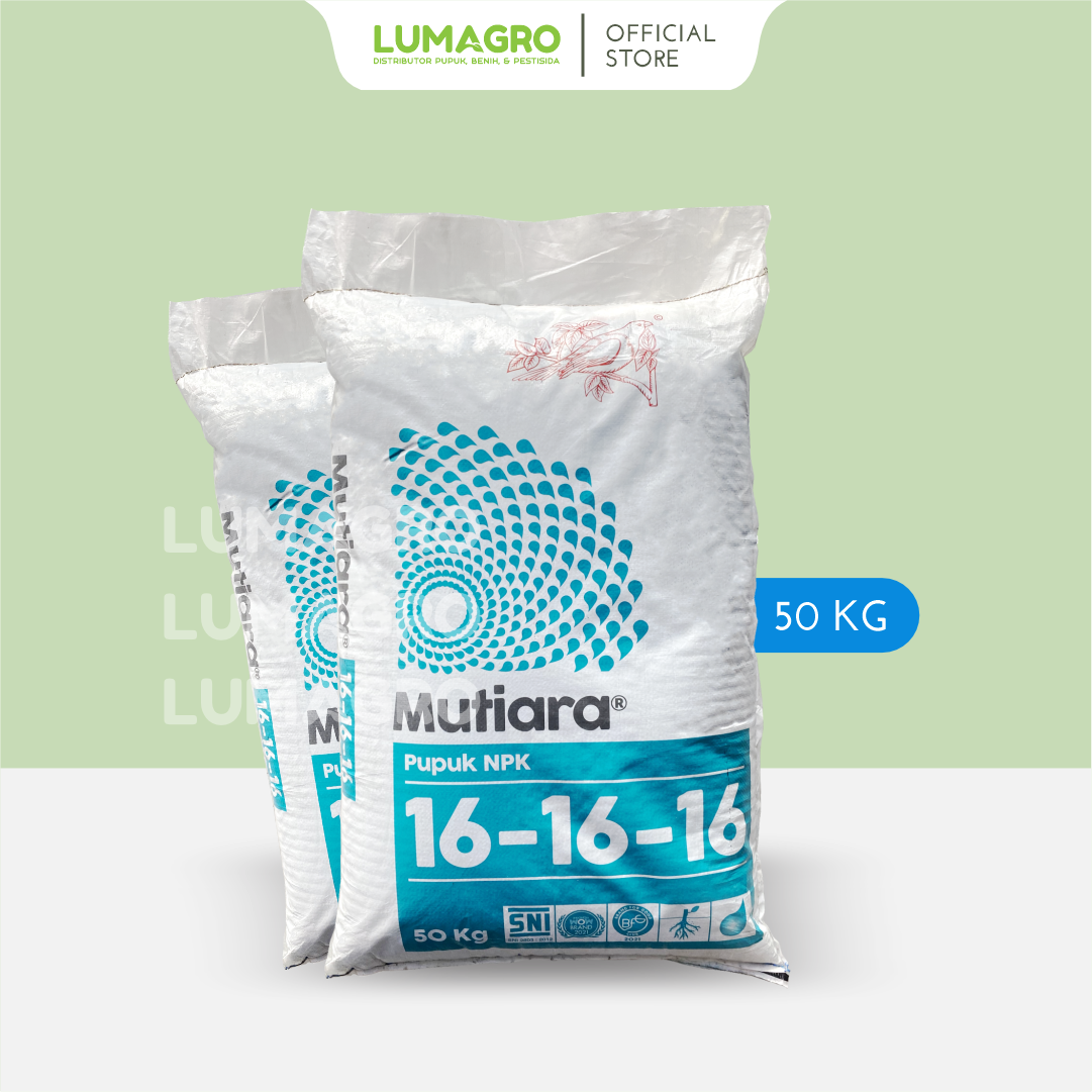 Harga npk 161616 mutiara 50kg Terbaru Nov 2024 |BigGo Indonesia